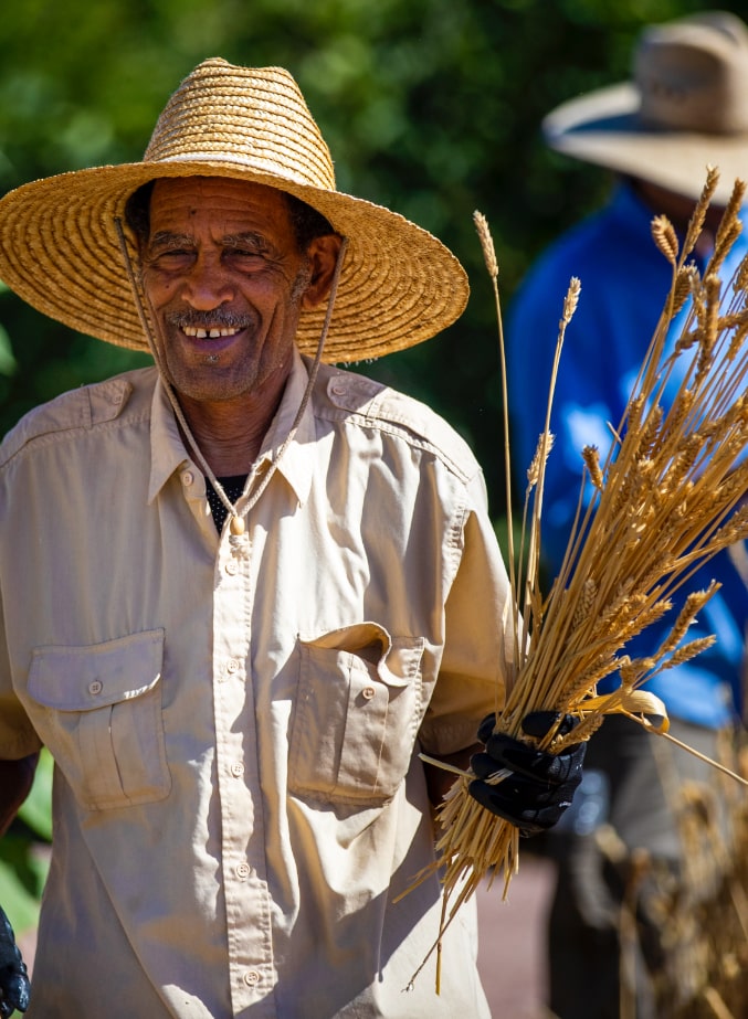 CK Foundation – Creative Knowledge Foundation